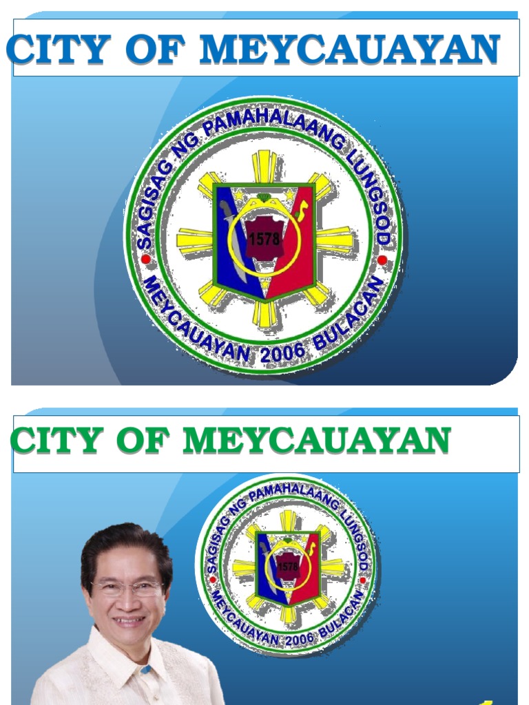 BDRRMP Presentation 2017-2019 | PDF