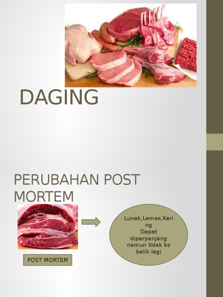 Perubahan Post Mortem Pada Daging | PDF