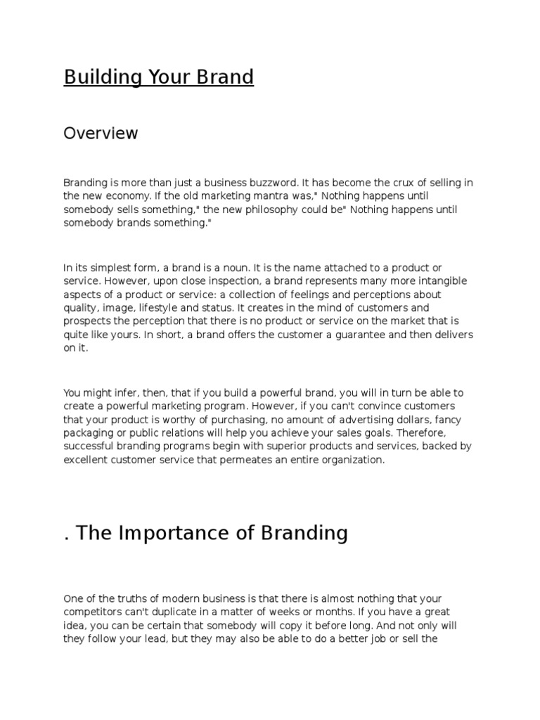 Branding Strategy | PDF | Target Audience | Brand
