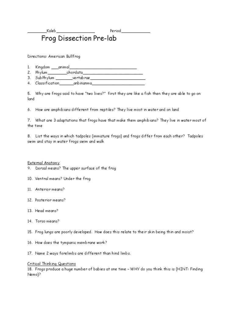 Frog Dissection Pre-lab Guide | PDF | Science & Mathematics