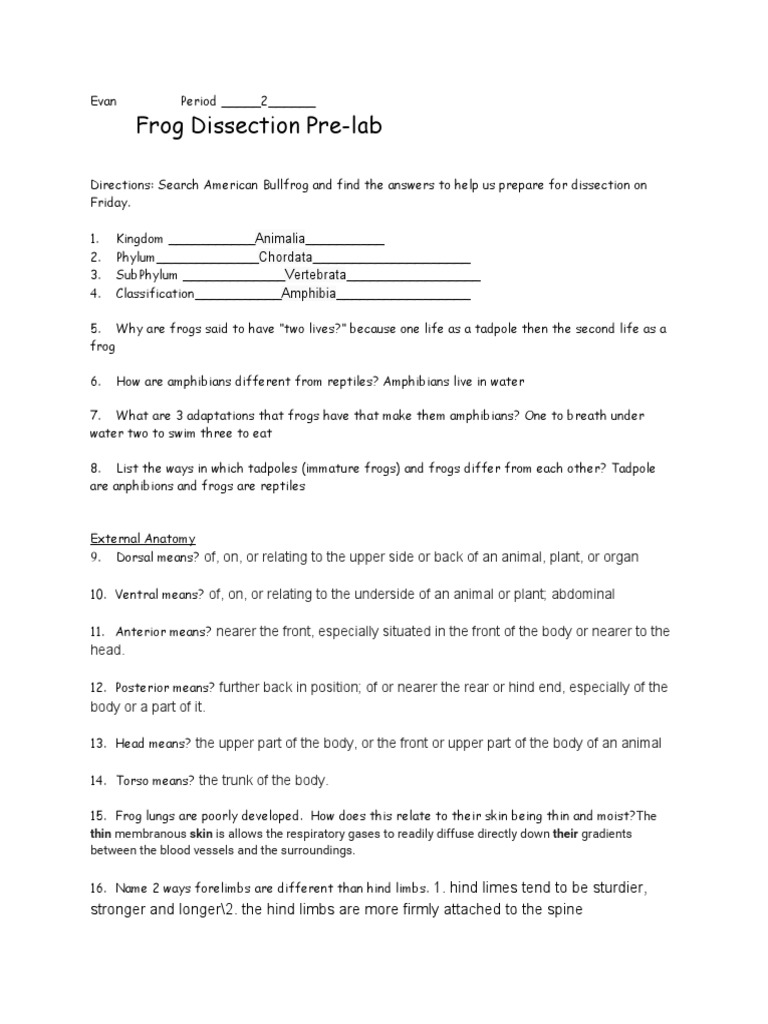 Frog Dissection Pre-Lab: Animalia Chordata Vertebrata Amphibia | PDF