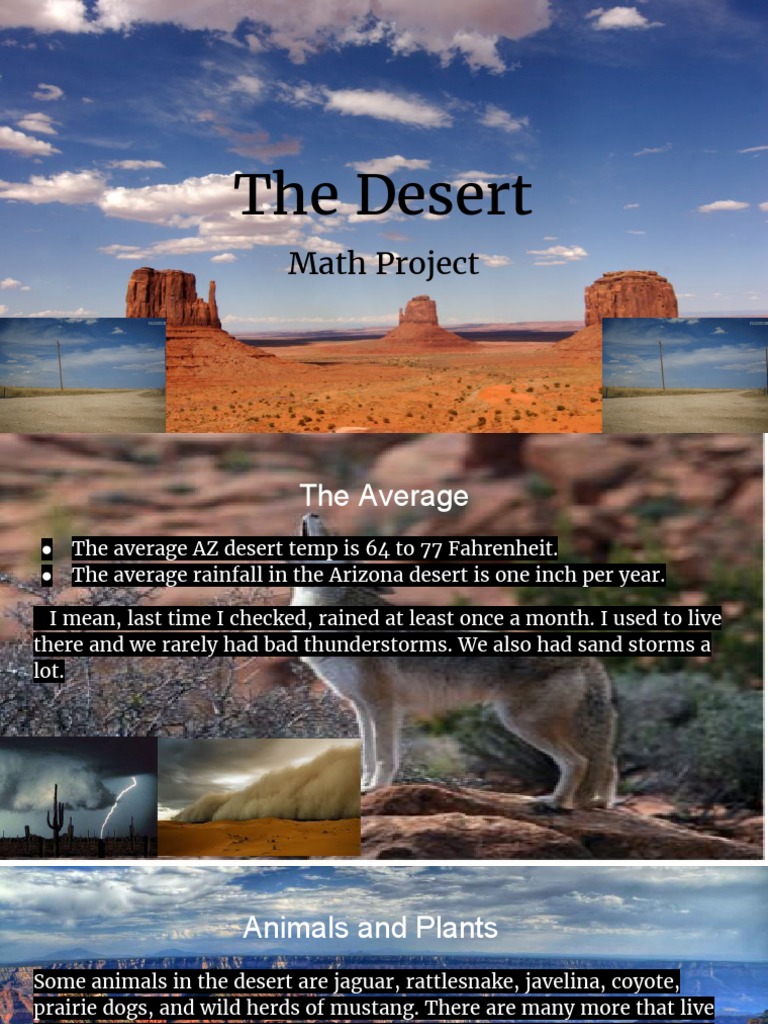 Desert Project | PDF