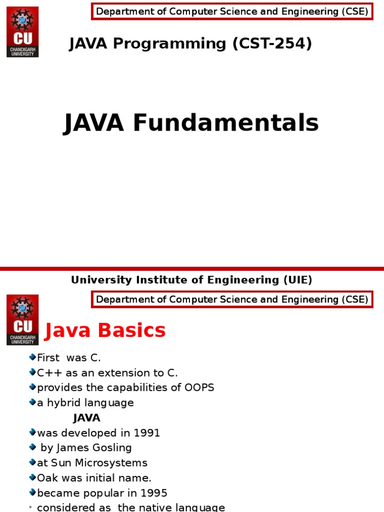 JAVA Fundamentals | PDF | Object Oriented Programming | Boolean Data Type