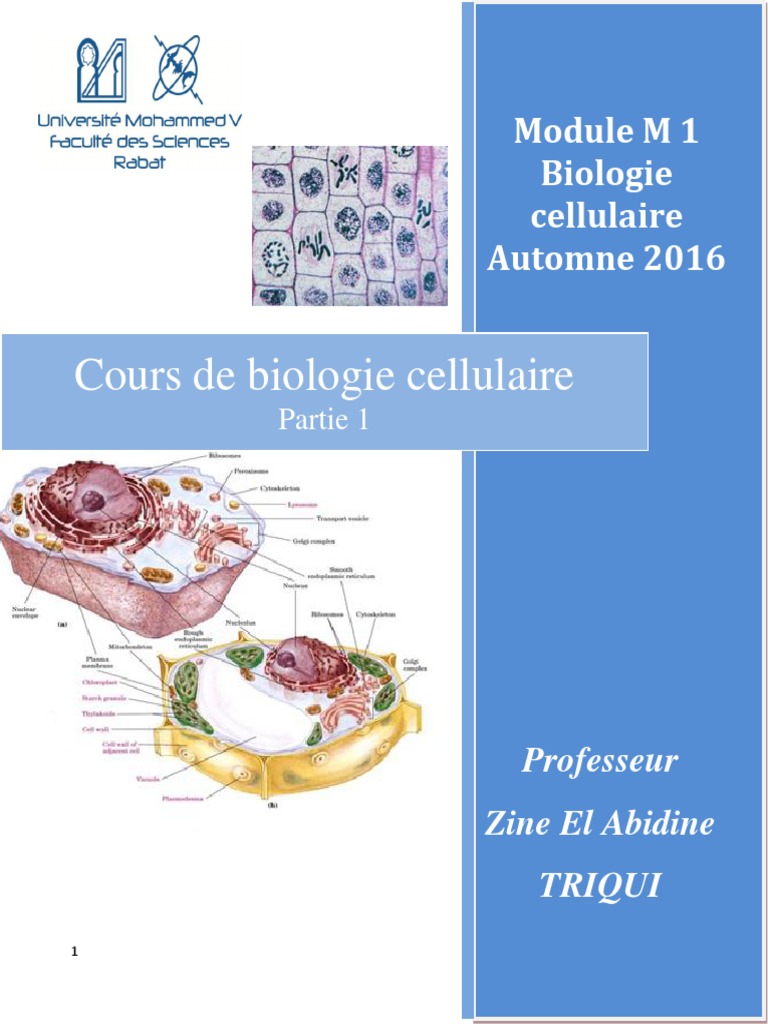 M TRIQUI COURS DE BIOLOGIE CELLULAIRE 2016-2017 .pdf | Membrane (biologie) | Cellule (Biologie)