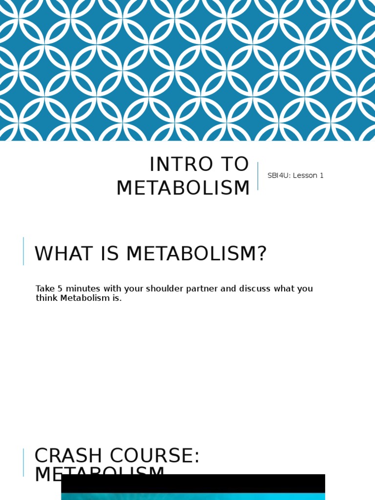 Intro To Metabolism | PDF