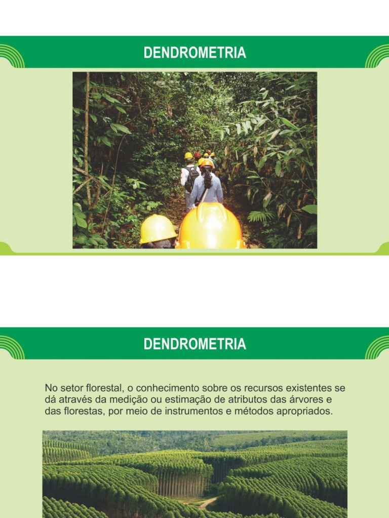 Aula 10 - Dendrometria - Diametro | PDF