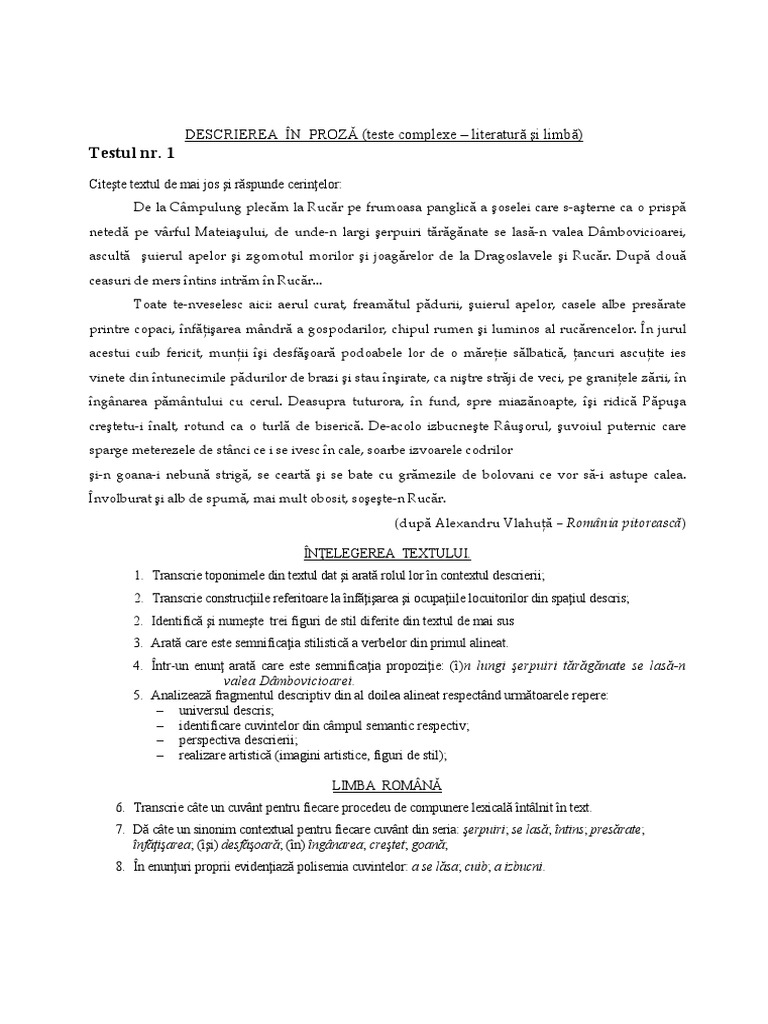 Fise de Lucru Limba Romana | PDF