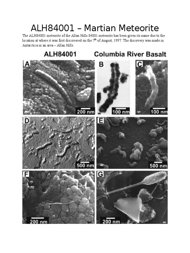 ALH84001 Martian Meteorite | PDF | Meteorite | Planets Of The Solar System