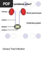 Renal Cheat Sheet | PDF | Urological Conditions | Internal Medicine