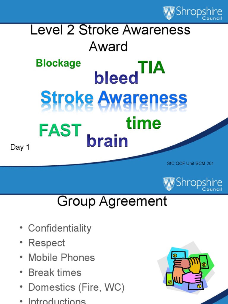 Level 2 Stroke Awareness Award: Sfc Qcf Unit Scm 201 | Stroke | Thrombosis