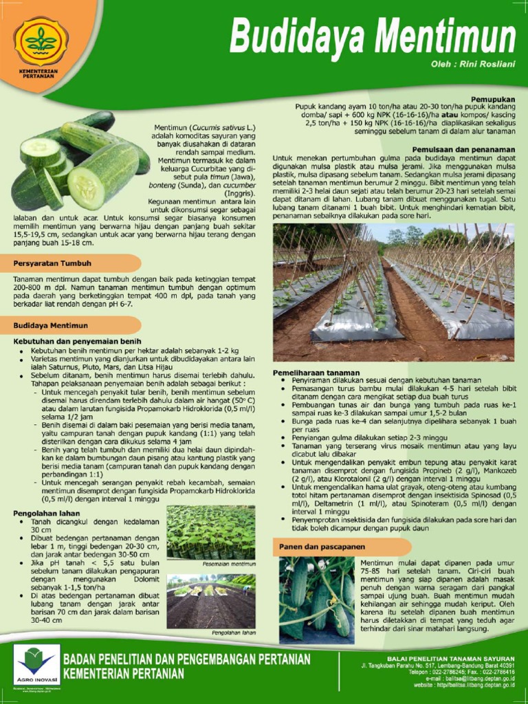 MP-03 Budidaya Mentimun | PDF