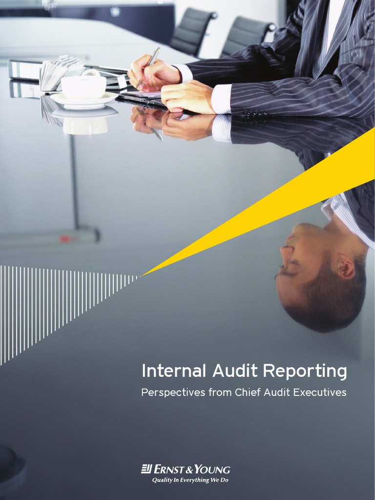 Internal Audit Reporting - Perspectives From Chief Audit Executives ...