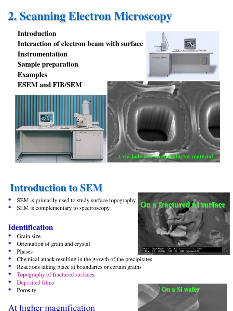 Scanning Electron Micros | PDF | Scanning Electron Microscope | Energy ...