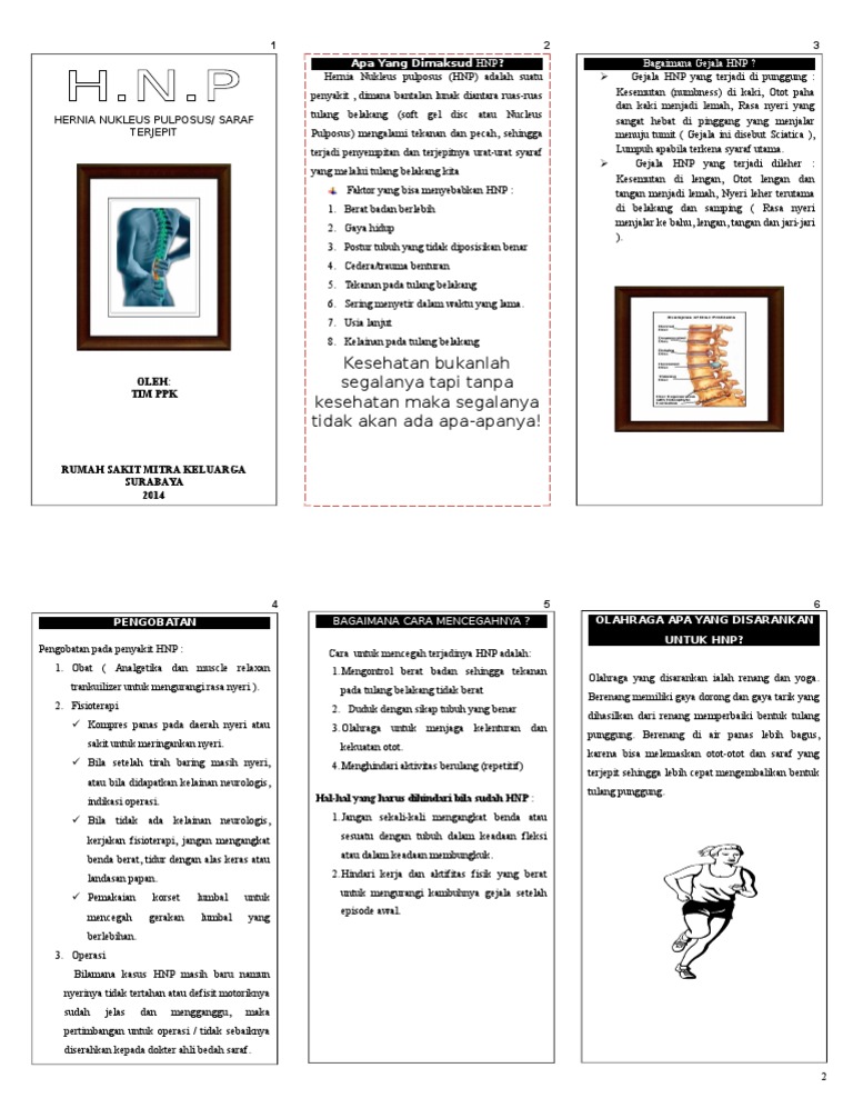 Leaflet HNP | PDF