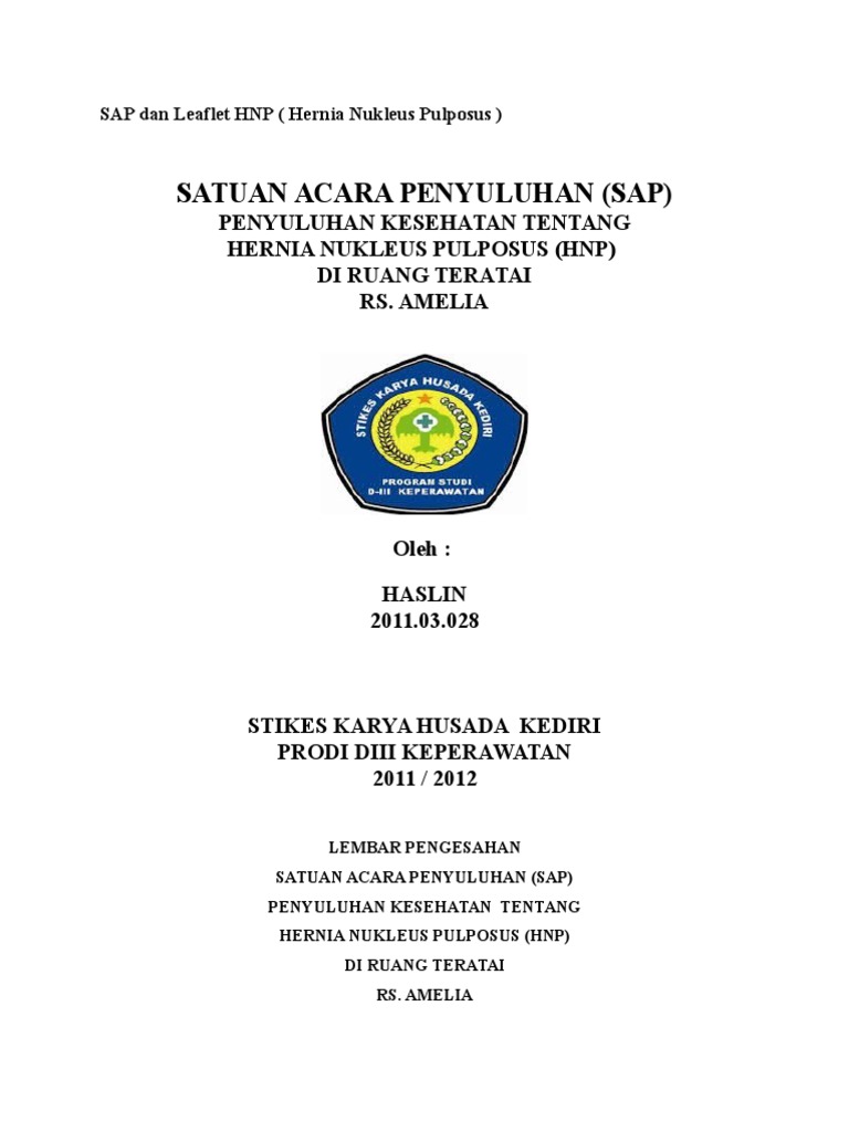 SAP Dan Leaflet HNP | PDF