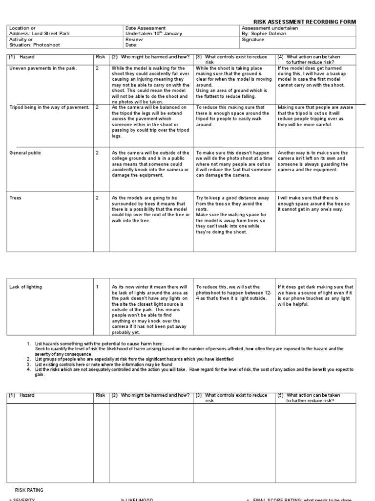 Risk Assessment | PDF | Tripod (Photography) | Risk