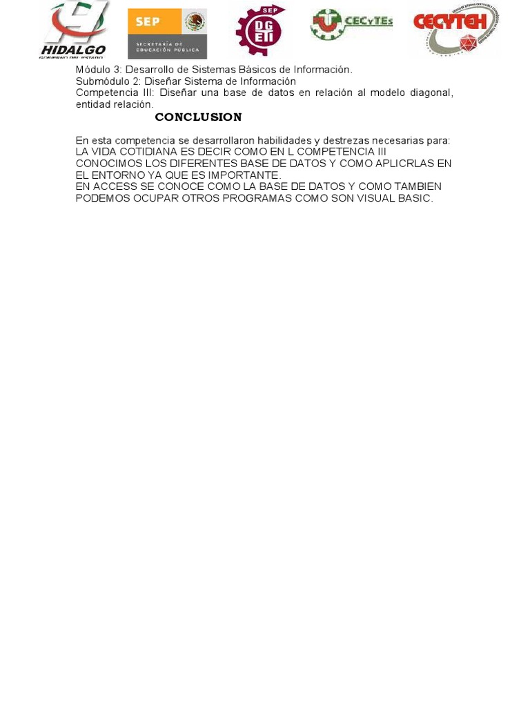 Conclusion de Access | PDF