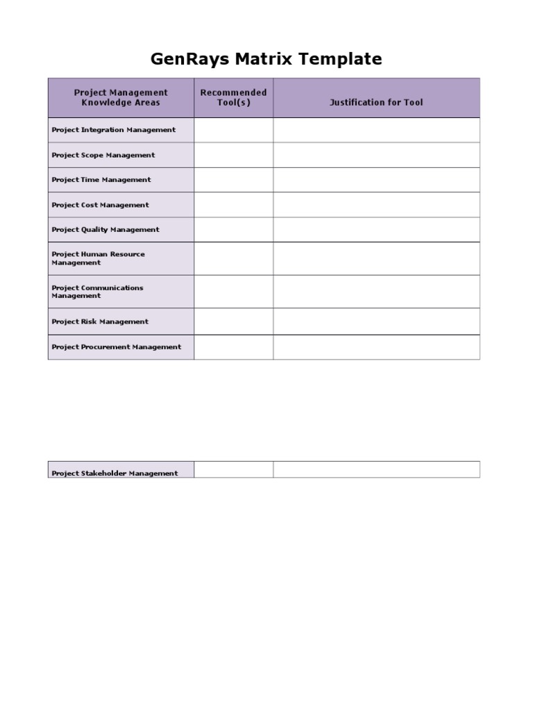 MGT2 GenRays Matrix Template | PDF | Project Management | Leadership