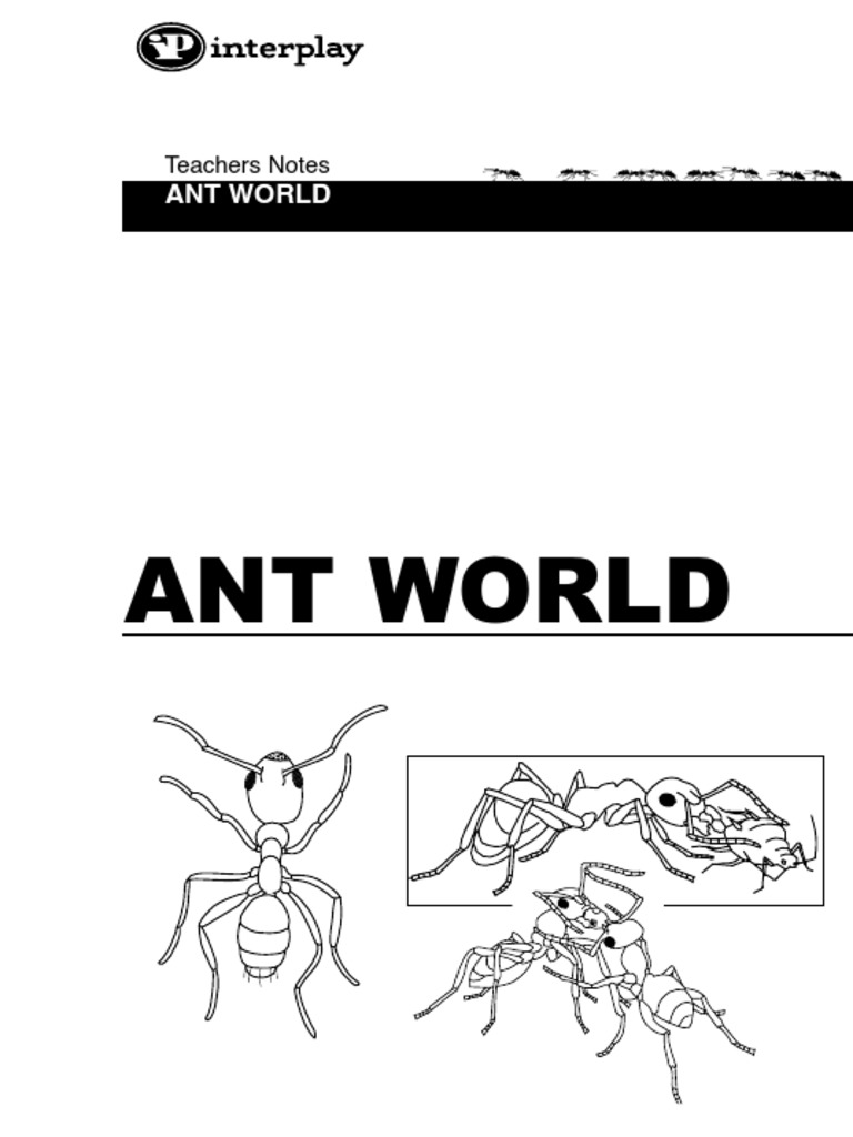 Ant World | PDF | Ant | Nest