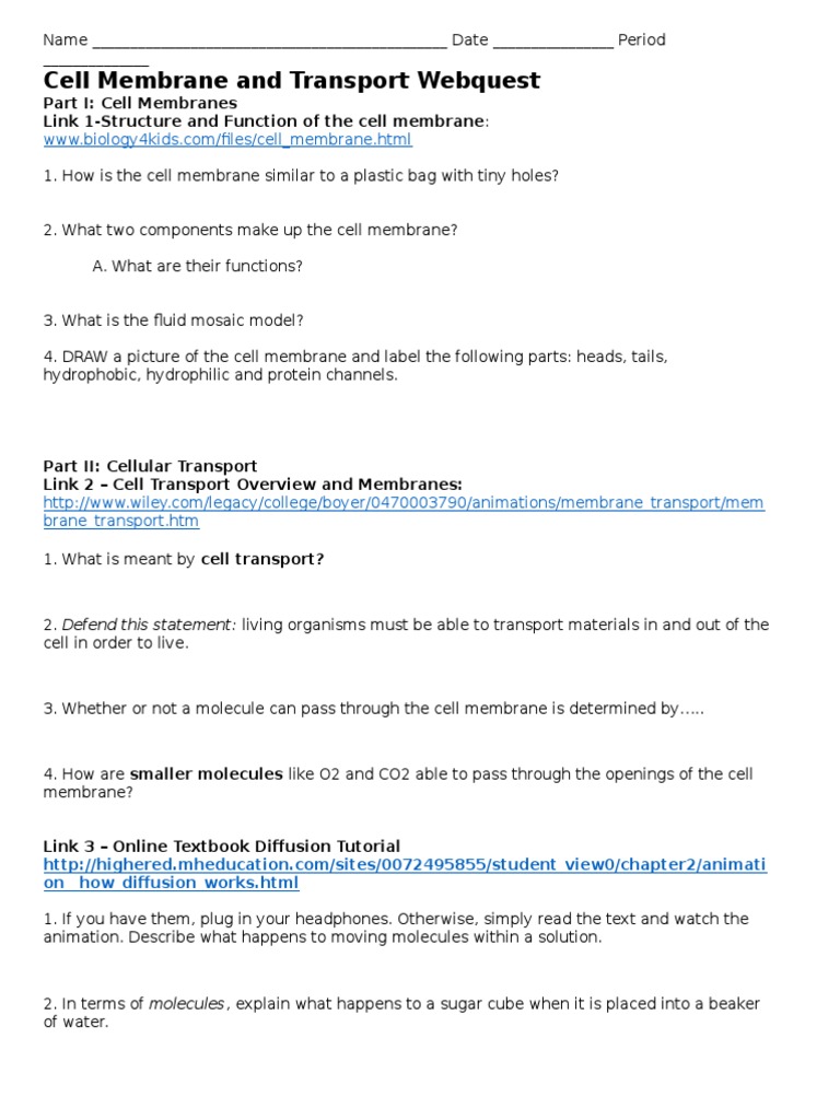 Cell Membrane and Transport Webquest | PDF | Osmosis | Cell Membrane