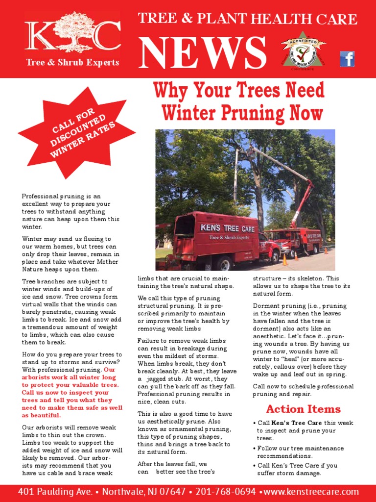 Winter Pruning Flyer 2017 | PDF | Pruning | Trees