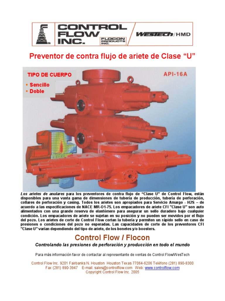 Control Flow Ing (Cameron) PDF | PDF