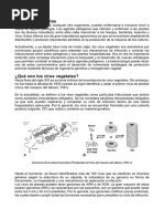 Ficha Tecnica Ultrasol Map | PDF | Fertilizante | Solubilidad