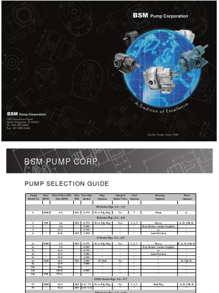 BSM Pump Selection Guide | PDF | Pump | Gear