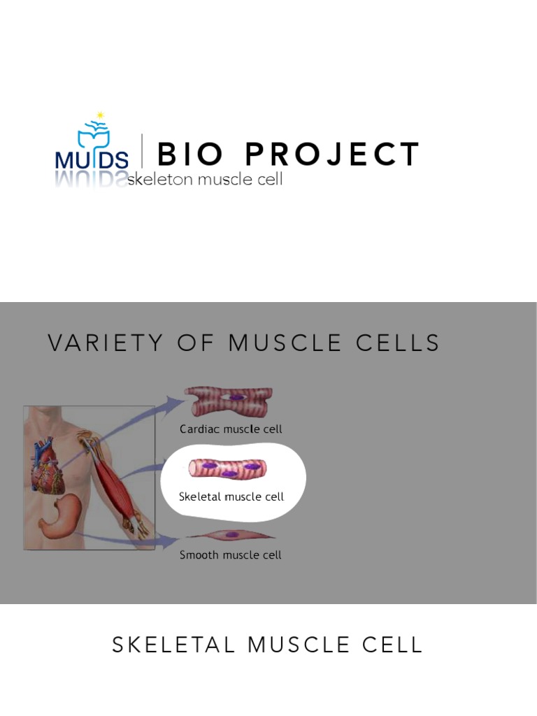 Bioproject Dont Delete | PDF | Myocyte | Endoplasmic Reticulum
