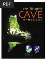 RA 9072 (National Cave Act) | PDF | Cave | Government