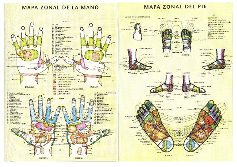 Anon - Reflexologia Mapas Manos Y Pies PDF | PDF