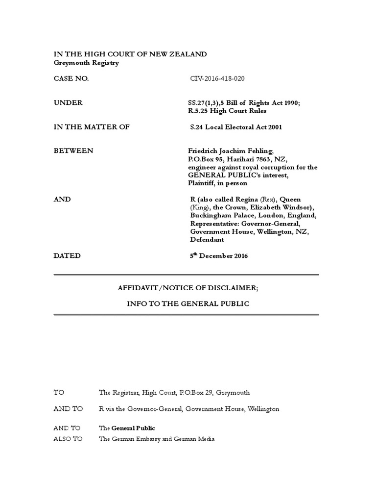 Appendix P, Public Info with High-Court Disclaimer Affidavit.pdf ...