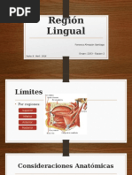 Anatomía y Límites de la Región Maseterina | PDF | Cabeza y cuello ...