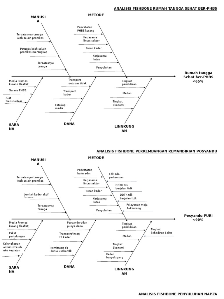 Analisis Fishbone Promkes | PDF