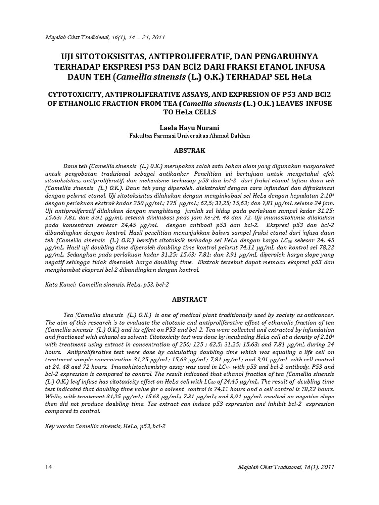 Infundasi Daun Teh | PDF