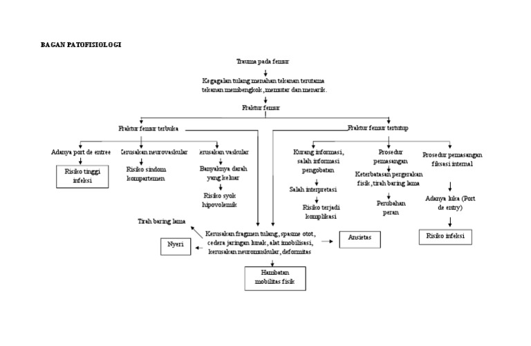 Bagan Patofisiologi | PDF