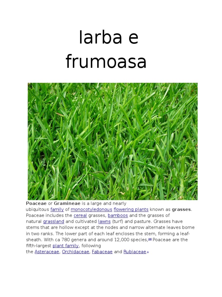 Iarba e Frumoasa Fa | PDF | Agricultural Land | Grass