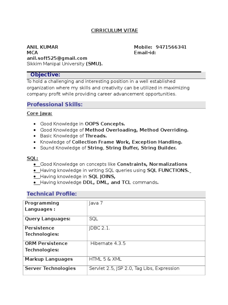 Cirriculum Vitae | PDF