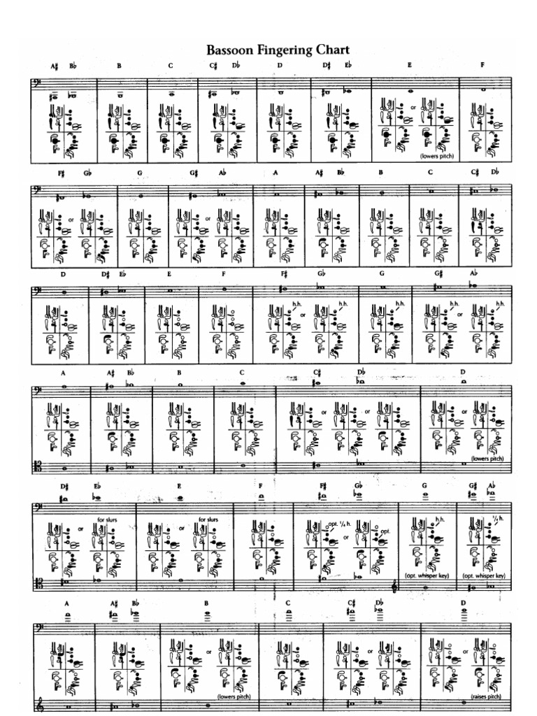 Bassoon Fingerings 3 0 | PDF