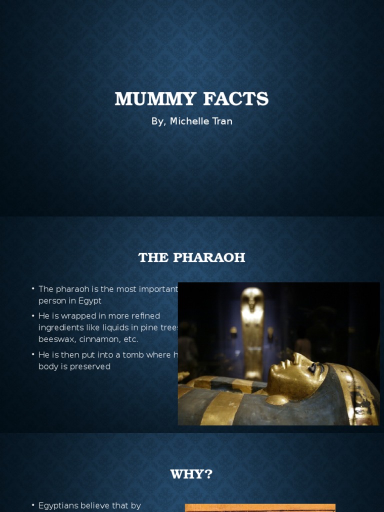 Mummy Facts | PDF