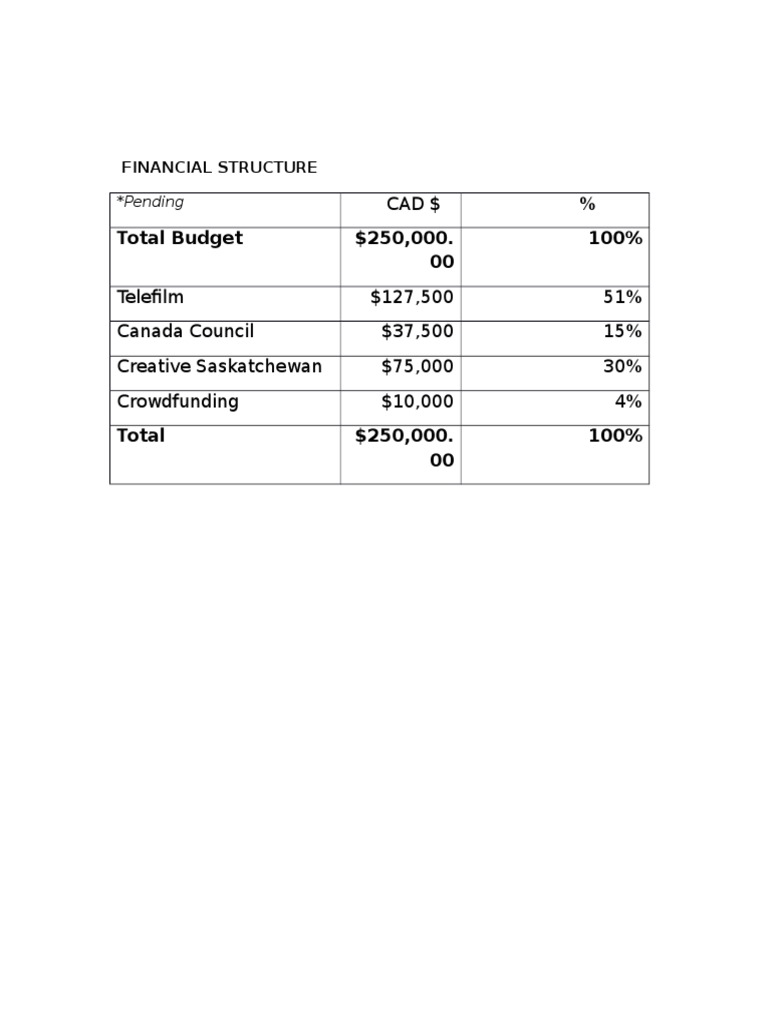 Financial Structure Breakdown | PDF