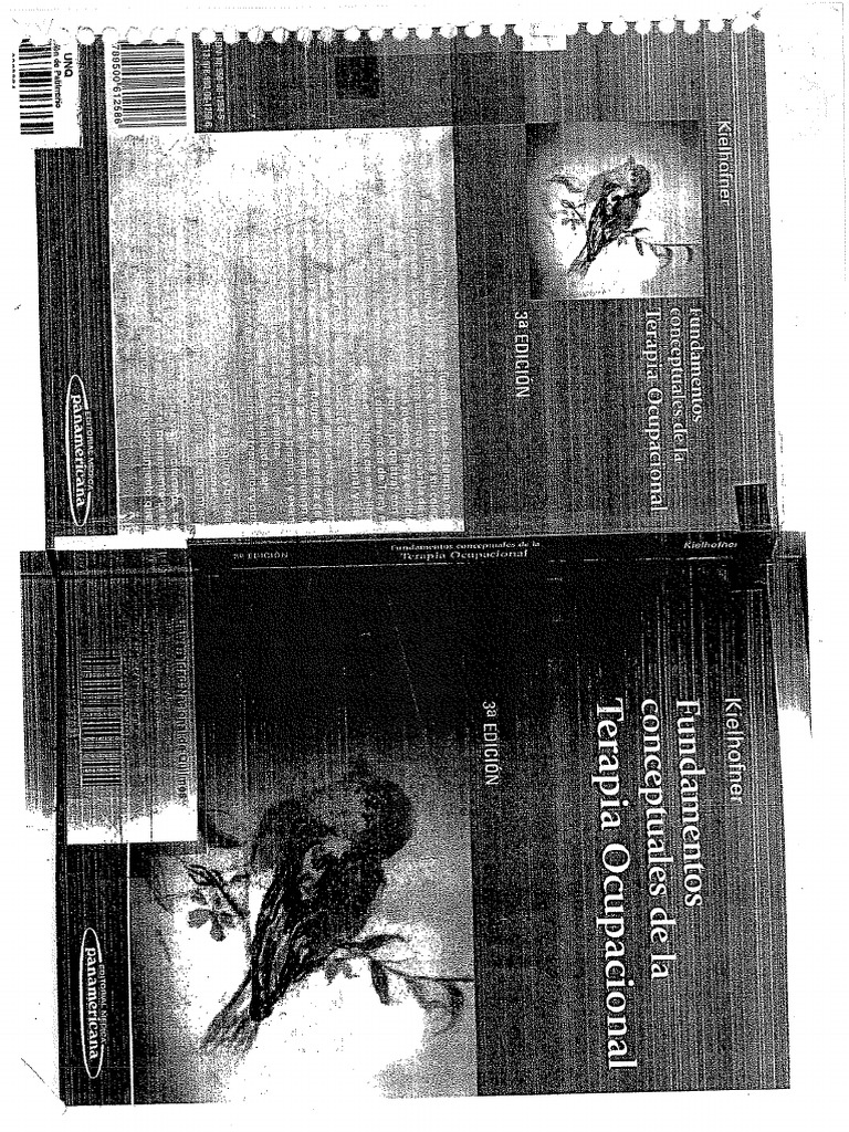 Kielhofner - Fundamentos Conceptuales de TO PDF | PDF