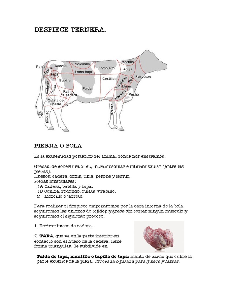 Despiece de Ternera | PDF | filete | Sistema musculoesquelético