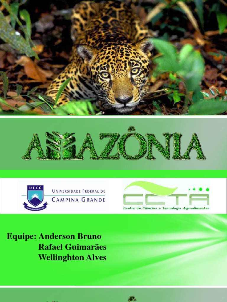 Amazoniapronto [SLIDES] | Floresta Amazônica | Rio Amazonas