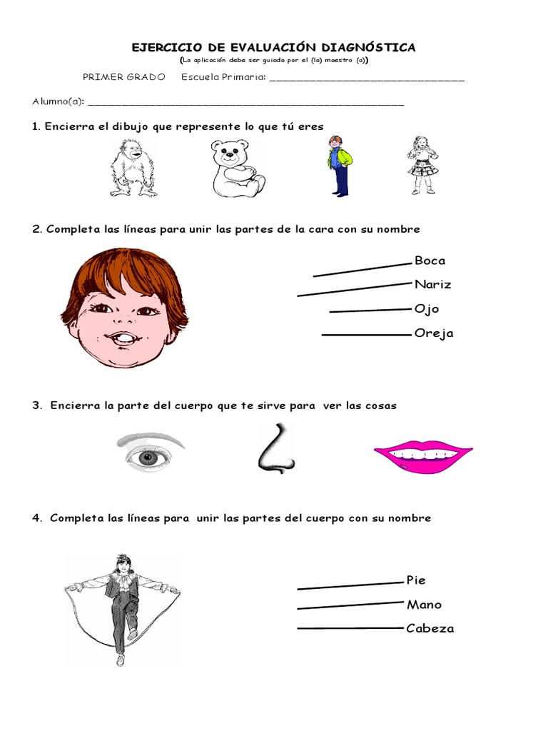 Examen de Diagnostico para Primer Grado Primaria | PDF