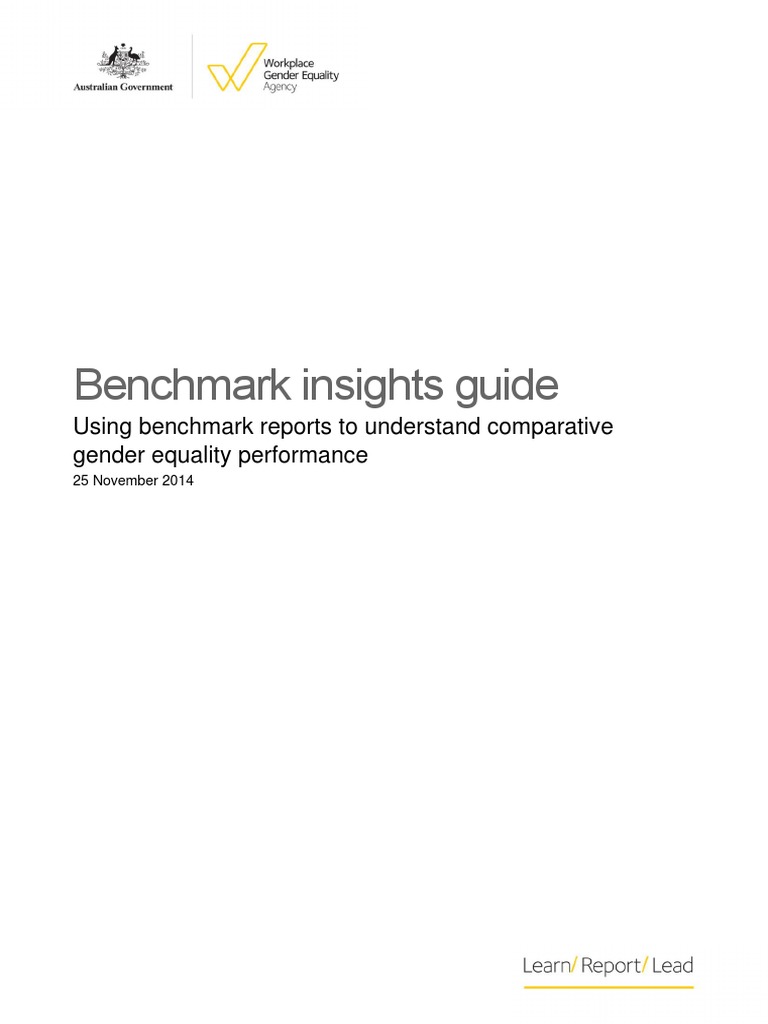 Benchmarks Insights Guide Final Pdf Benchmarking Strategic Management