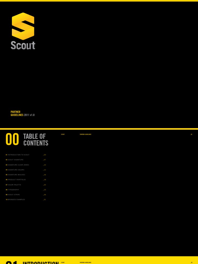 Scout Partner Guideline v1.0 | PDF