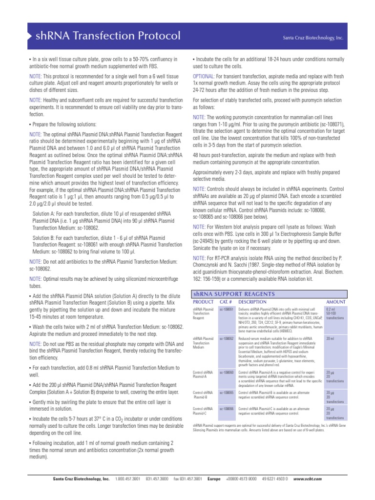 ShRNA Protocol | PDF | Plasmid | Transfection