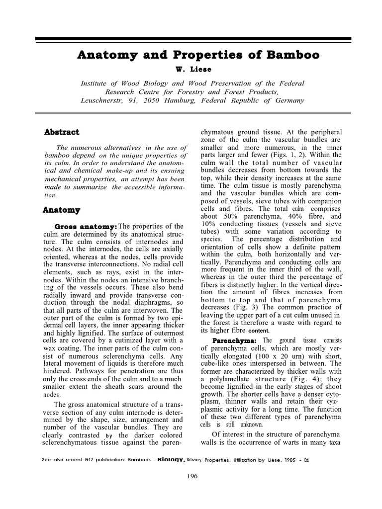 Anatomy and Properties of Bamboo | PDF | Tissue (Biology) | Lignin