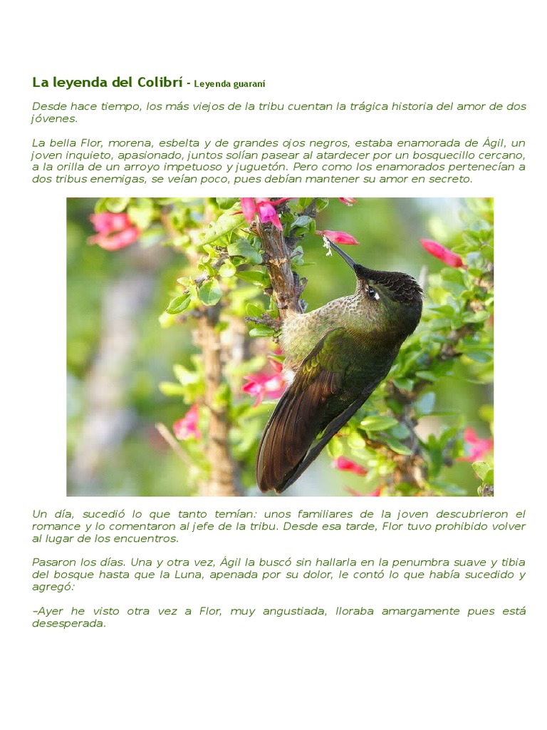 La Leyenda Del Colibrí | Imperio Inca | Personas